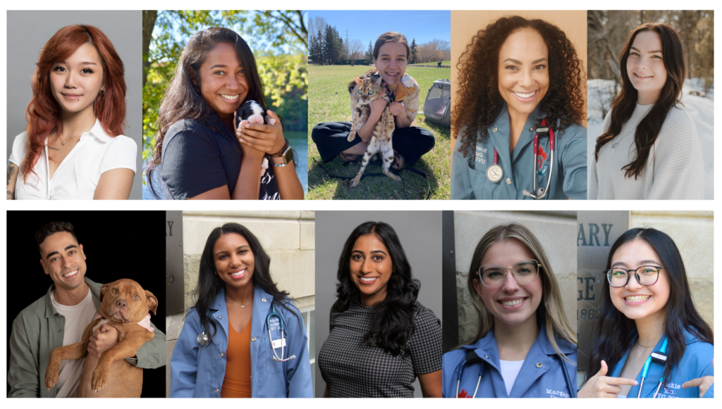 Ten Canadian Veterinary students awarded VetStrategy Diversity ...