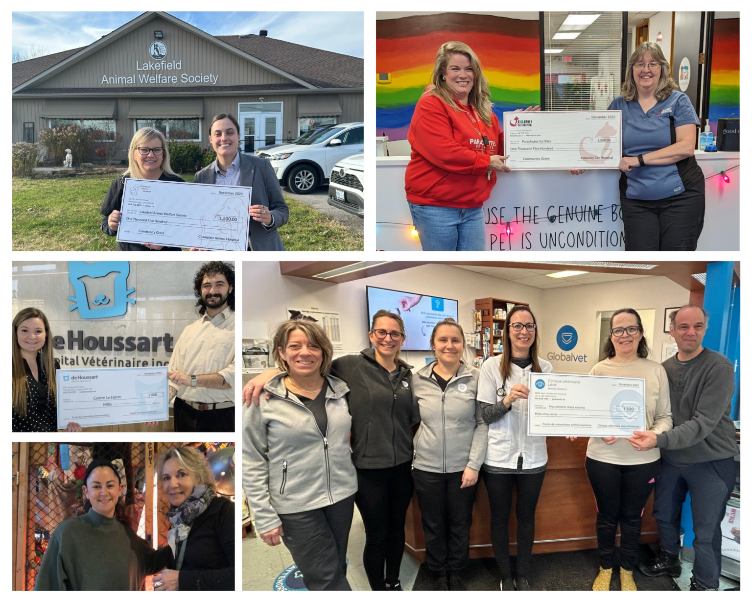 12 VetStrategy clinics receive Community Grant donations - VetStrategy