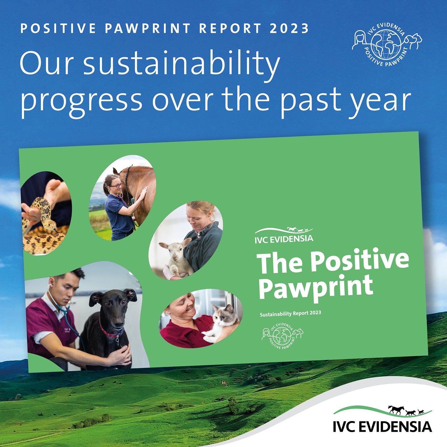 IVC Evidensia and VetStrategy release 2023 Positive Pawprint Report ...