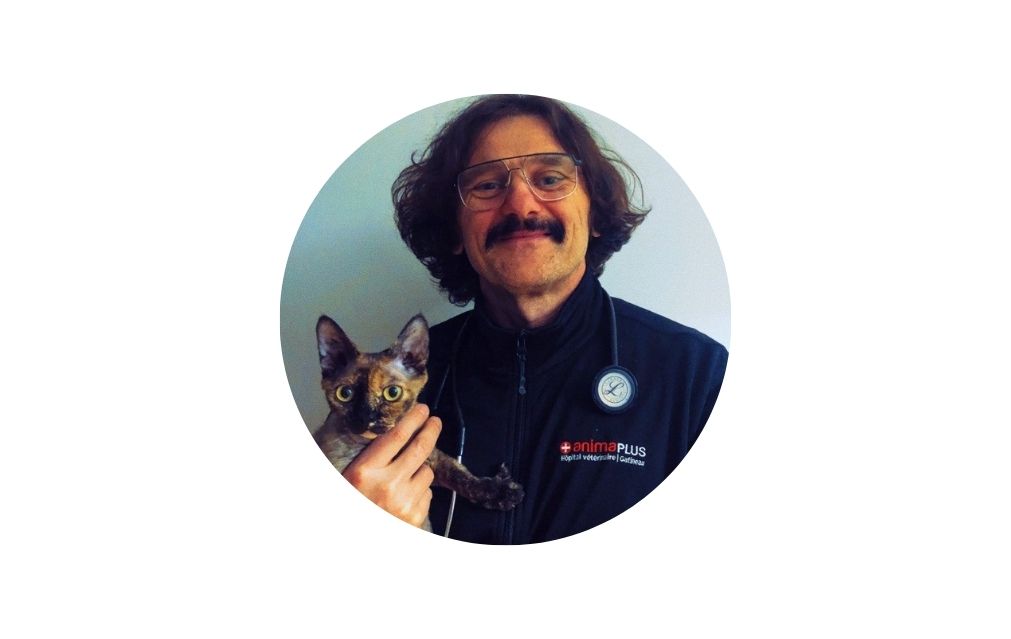 How our DVMs pay it forward by mentoring restricted vets - VetStrategy