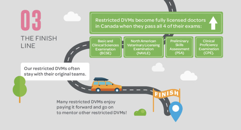 Restricted DVMs and the road to Canadian licensing - VetStrategy