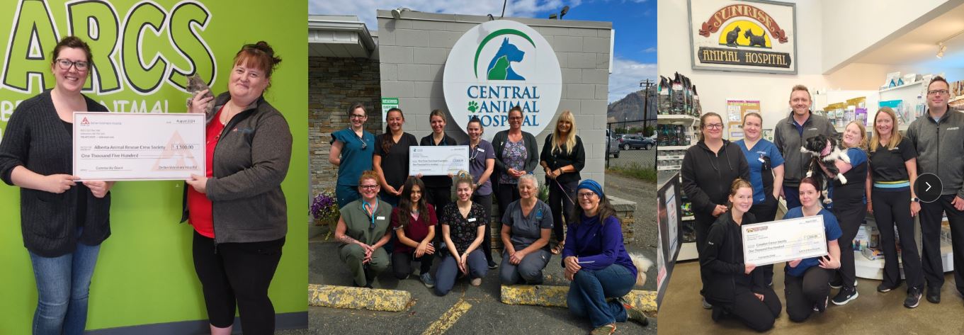Community Grant donation warms the hearts of Four Paws Food Bank ...